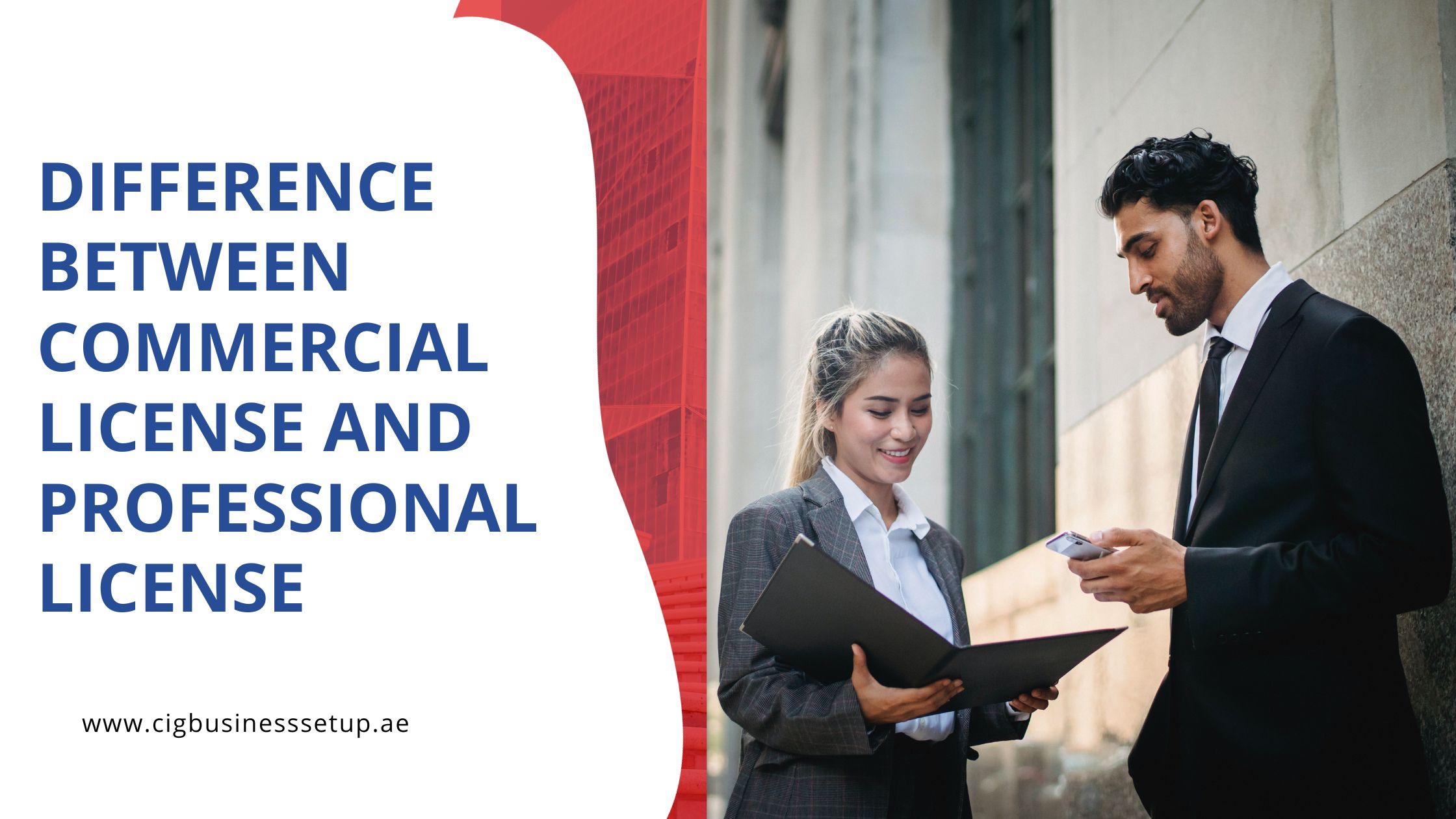 Difference Between Commercial License and Professional License