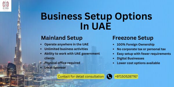 Business Setup Options in the UAE